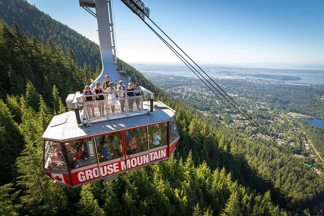 Capilano Suspension Bridge + Grouse Mountain Tour - An In-Depth Review of the Tour Experience