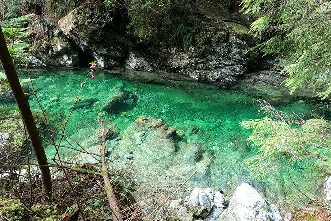 Capilano Suspension Bridge, Lynn Canyon & Capilano Hatchery Tour - Detailed Breakdown of the Tour Experience