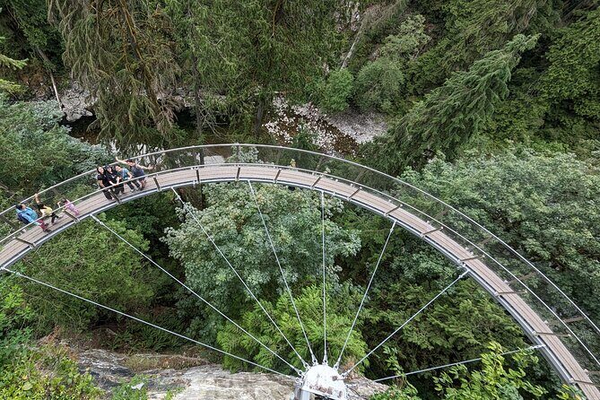 Capilano Suspension Bridge, Lynn Canyon & Capilano Hatchery Tour - Who Will Love This Tour?