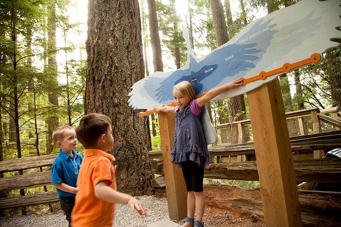 Capilano Suspension Bridge Park Ticket - The Itinerary Breakdown