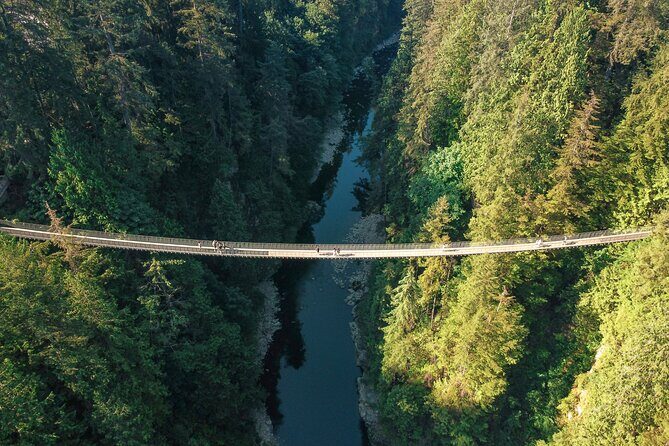 Capilano Suspension Bridge Park Ticket - Authentic Voices: What Visitors Say