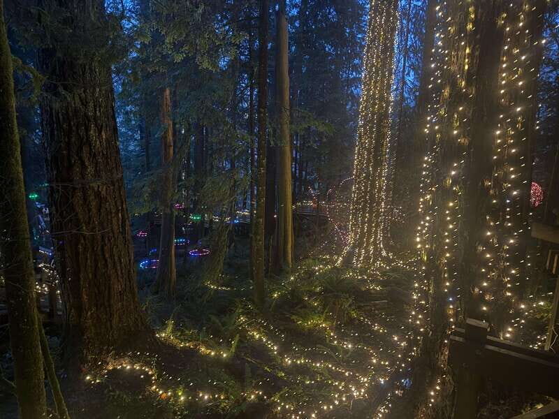 Capilano Suspension Bridge/Private/Small Group/By LUX CAR - An Overview of What to Expect
