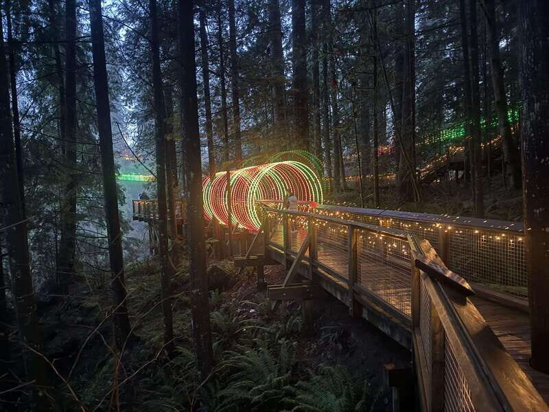 Capilano Suspension Bridge/Private/Small Group/By LUX CAR - Who Should Consider This Tour?