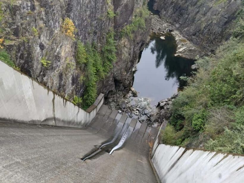 Capilano Suspension Br+Lake+Dam+Hachery/4in1/CAR/Small GROUP - What to Expect from the Experience
