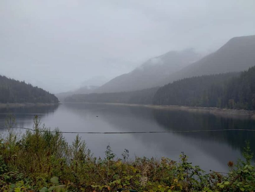 Capilano Suspension Br+Lake+Dam+Hachery/4in1/CAR/Small GROUP - Who Will Love This Tour?