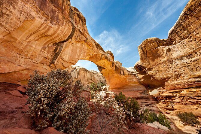 Capitol Reef National Park Self-Guided Audio Tour - Who Should Consider This Tour?
