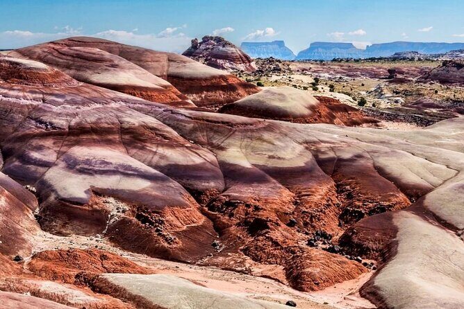 Capitol Reef Private Tour in Cathedral Valley and Bentonite Hills - The Sum Up