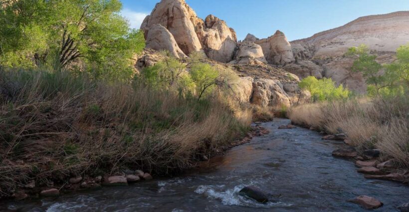 Capitol Reef Sunrise Photography Tour - An Early Morning in Capitol Reef: What to Expect