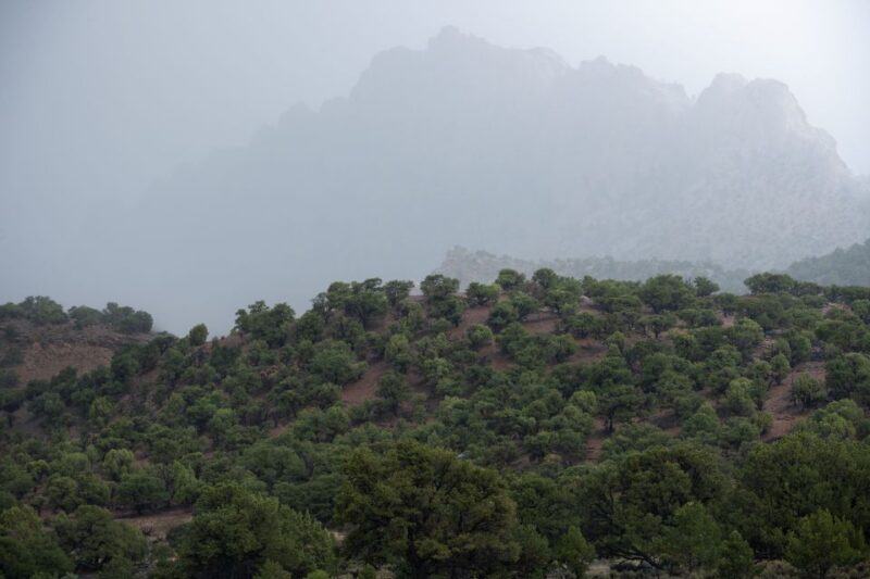 Capitol Reef Sunrise Photography Tour - Who Should Consider This Tour?