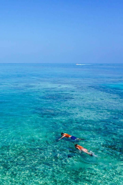 Capo Rizzuto: Explore seabed with an underwater vision boat - Key Points
