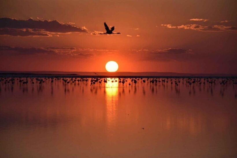 Cappadocia Amazing Sunset Tour To Salt Lake - FAQ