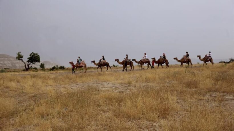 Cappadocia Camel Ride among the Fairy Chimneys - Authenticity and Cultural Touches