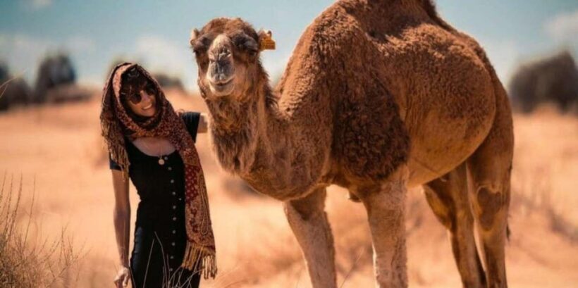 Cappadocia Camel Ride among the Fairy Chimneys - FAQ