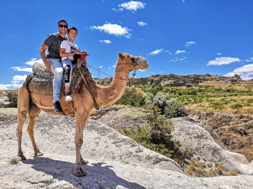 Cappadocia Camel Safari Tour - The Sum Up