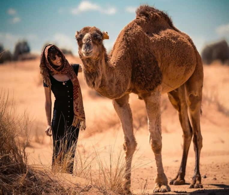 Cappadocia: Camel Safari Tour with Transfer - What’s Included and Practicalities