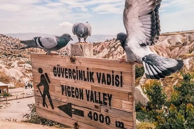 Cappadocia Daily Green Tour - Customer Reviews and Feedback