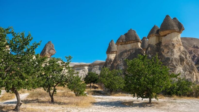 Cappadocia Excursion: Full-Day South Tour with Expert Guide - Key Points