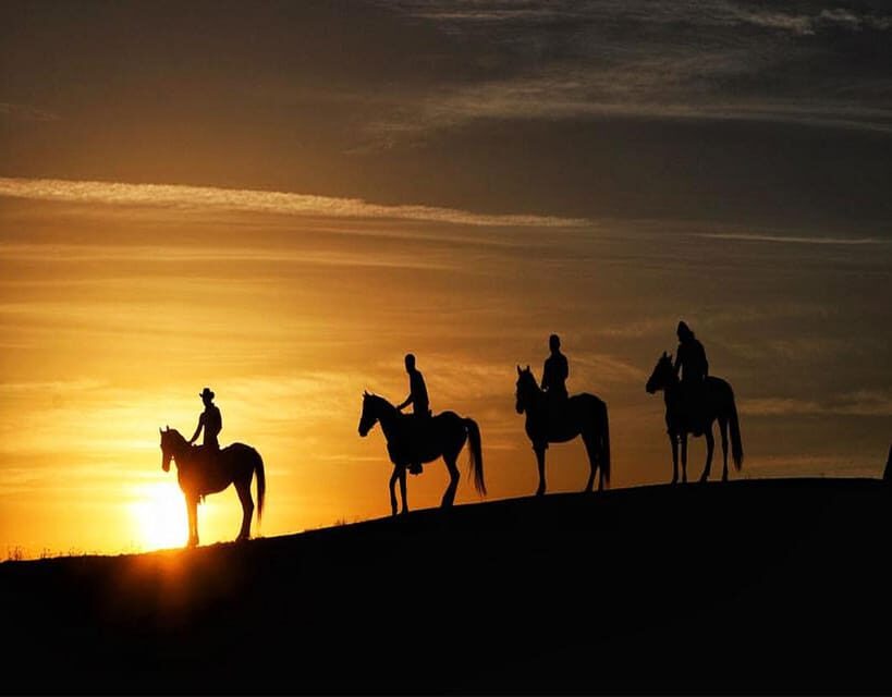 Cappadocia: Fascinating Horse Riding Tour in Unique Valleys - The Experience: What Travelers Say
