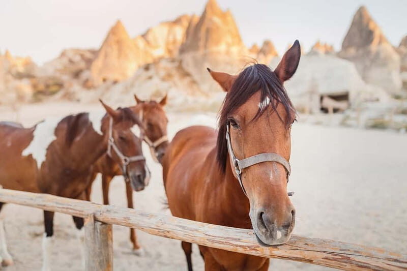 Cappadocia: Göreme Horse Riding, Fairy Chimneys w/Transfer - Authentic Experiences and Why They Matter