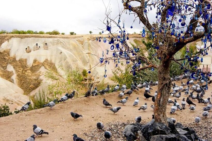 Cappadocia : Green Tour Entry Tickets And Lunch Included - Practical Aspects: What to Expect