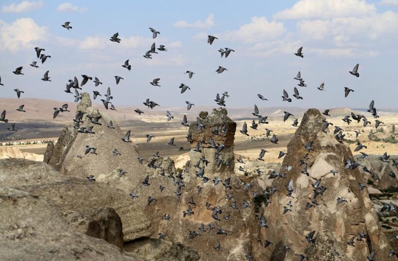 Cappadocia Green Tour (Includes lunch and museum tickets) - The Final Stop: Narlgöl (Nar Crater Lake)
