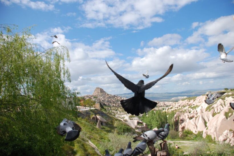 Cappadocia: Highlights Tour with Lunch and Entry Tickets - Who Will Love This Tour?