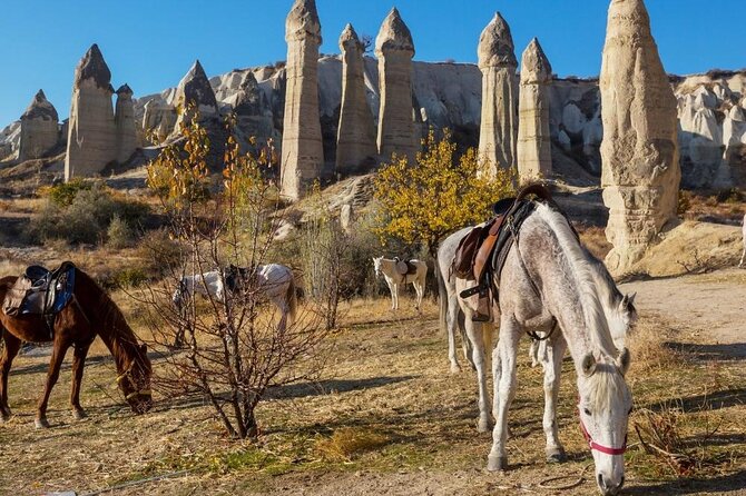 Cappadocia Horse Riding Experience Sunrise Sunset Daytime - Tour Details
