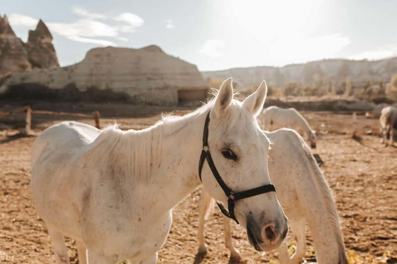 Cappadocia: Horse Riding Tour with Hotel Transfer - The Sum Up