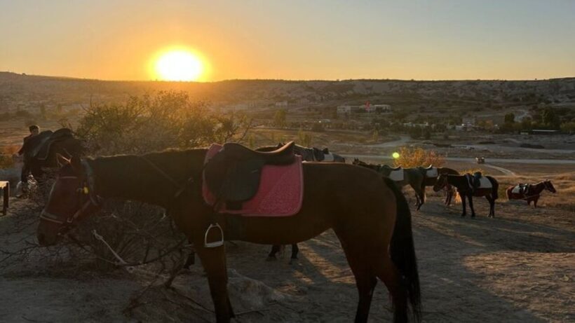 Cappadocia Horseback Riding Tour - Price and Value