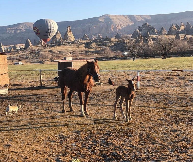 Cappadocia: Horseback Riding Tour in Cappadocia Valleys - FAQ