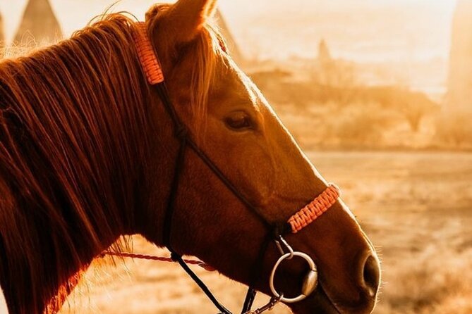 Cappadocia Horseback Riding Tour (Transfer Included) - Tour Inclusions