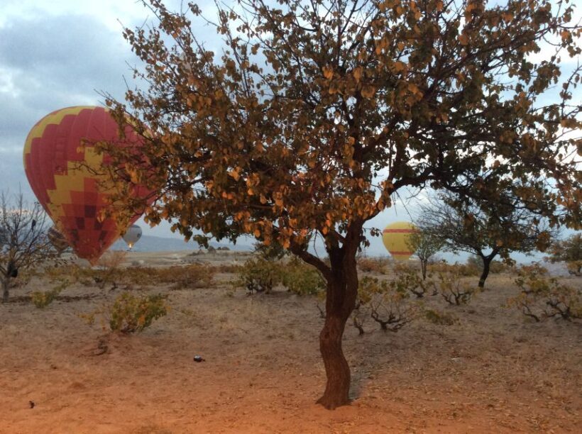 Cappadocia: Hot Air Balloon Flight at Sunrise - FAQs