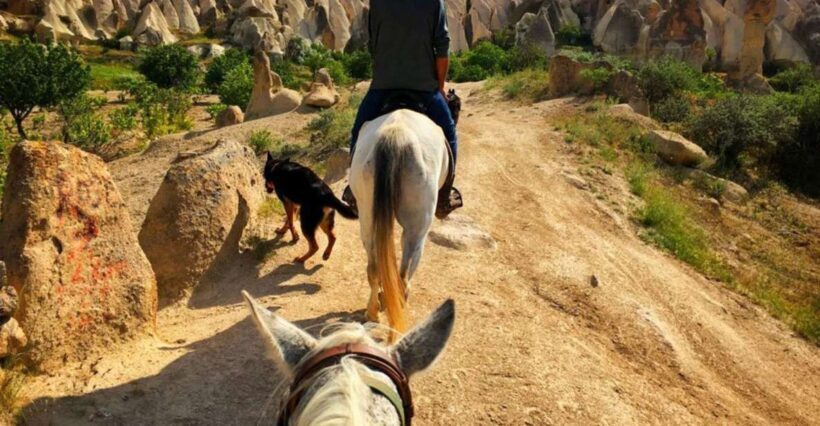 Cappadocia: Sunset Horseback Riding Tours w' Fairy Chimneys - An In-Depth Look at the Cappadocia Horseback Riding Tours