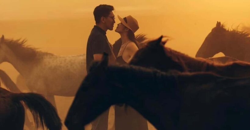 Cappadocia's Sunset Horseback Riding - Why Choose the Sunset Horseback Riding Experience?