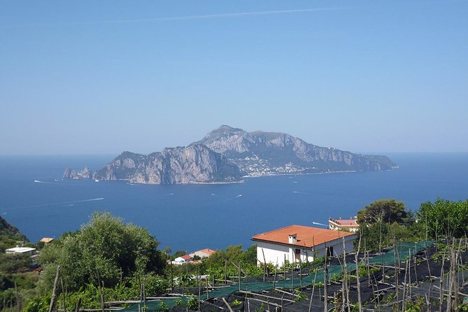 Capri, Blue Grotto, Sorrento and Pompeii from Positano or Amalfi - FAQ