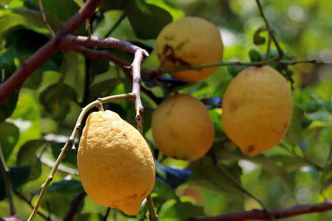 Capri, Blue Grotto, Sorrento & Pompeii Private Tour - FAQ