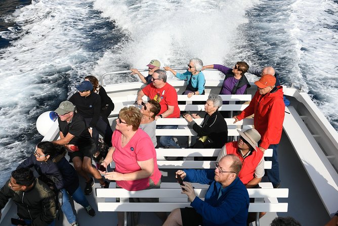 Capri Coast to Coast: Boat Tour With OPTIONAL Blue Grotto - Health and Safety Measures