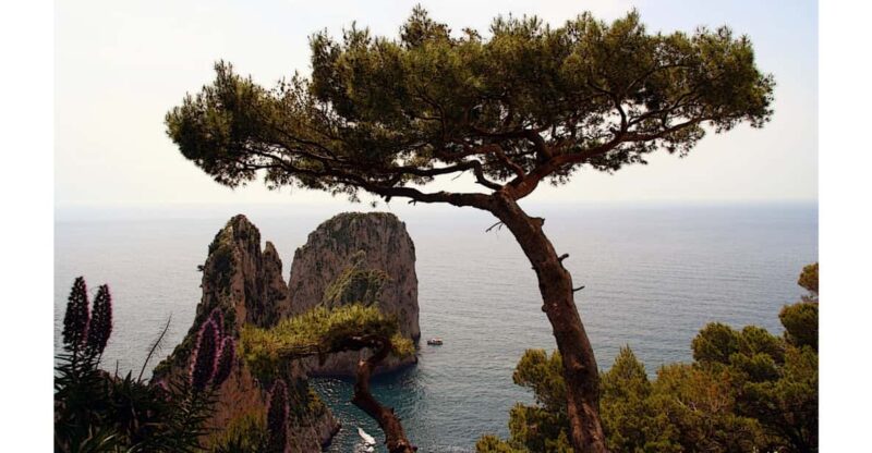 CAPRI: DAILY TRIP WITH FREE TIME IN THE ISLAND - Pick-Up Details