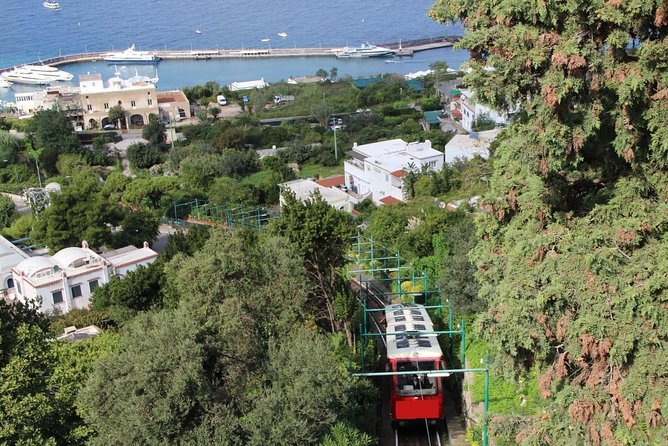 CAPRI - DIY Day Trip Package - BoatTour, BlueGrotto,Bus&Lunch - Important Considerations for Optimal Experience