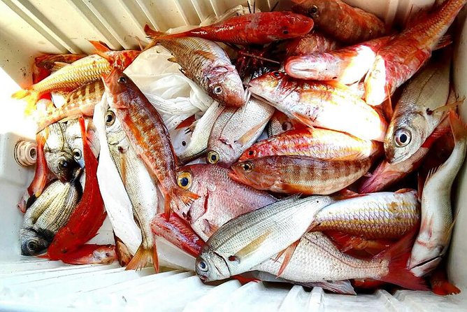 Capri Fishing Excursion With Snorkeling and Lunch From Sorrento - What to Expect on the Tour