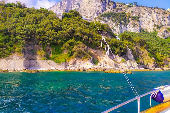 Capri Half Day Private Boat Tour from Capri (4 hours)+Blue Grotto - What Reviewers Say