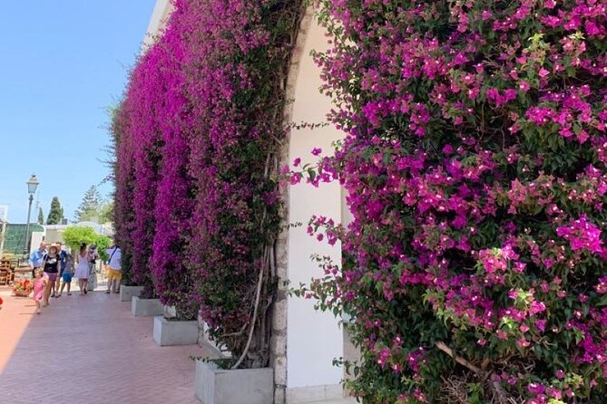 Capri Island and Blue Grotto - Small Group Day Tour - Exploring Capri Town