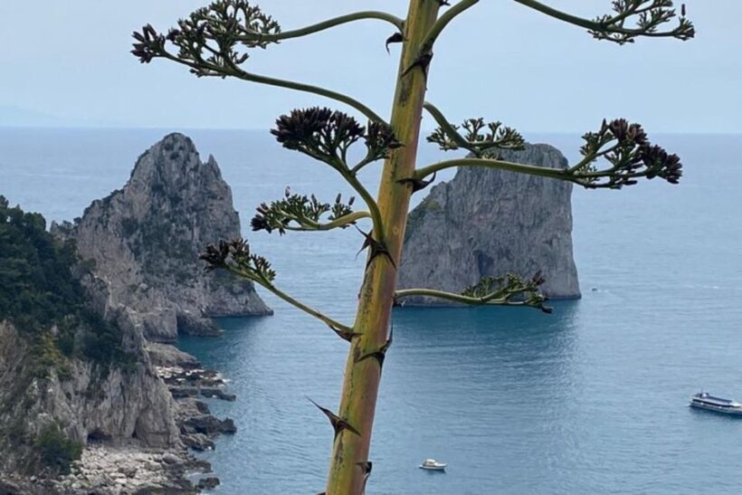 Capri Private Boat Tour at Sunset from Capri (2 hours) - A Detailed Look at the Capri Sunset Private Boat Tour