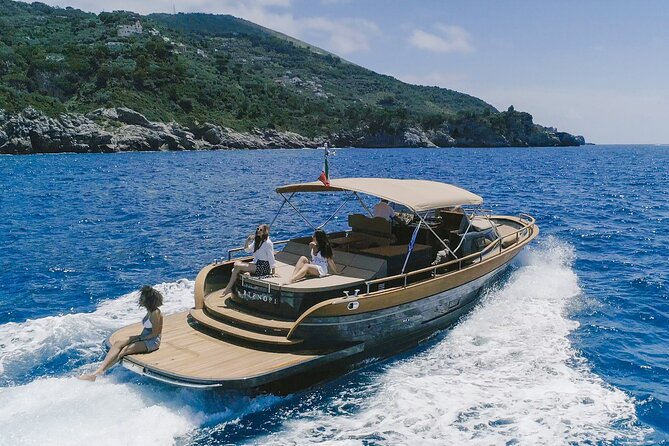 Capri Private Day Tour by Boat - Accessibility and Participation