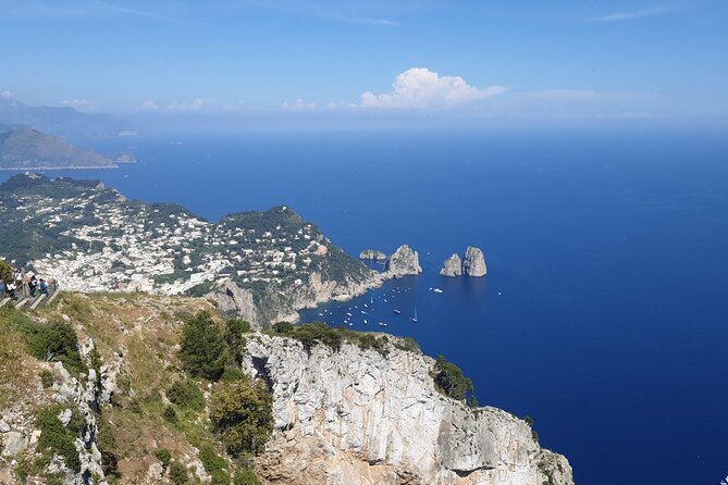 Capri Private Day Tour With Private Island Boat Tour From Rome - Accessibility and Participation
