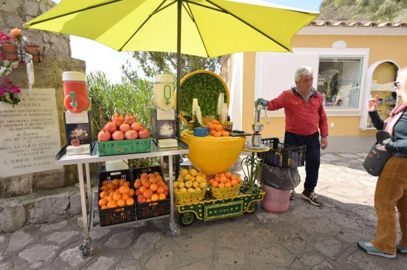 Capri Private Walking Tour - Final Summary