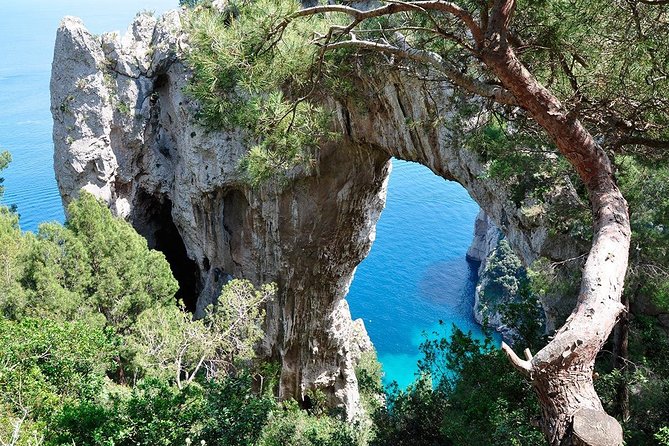 Capri Shared Tour - Without Pick up - Accessibility and Conditions