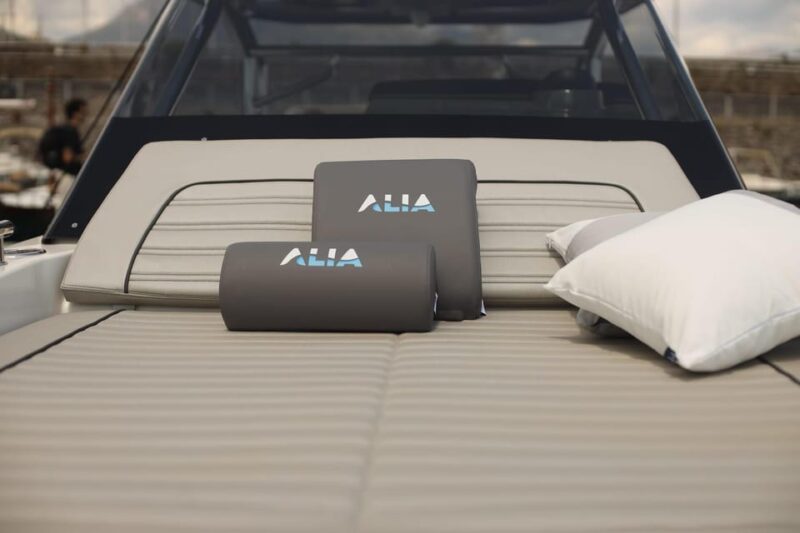 CAPRI: Tour in Barca Premium da Agropoli - What’s Included and What to Bring