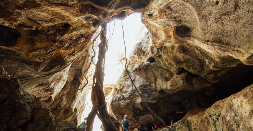 Capricorn Caves: 120 Minute Capricorn Adventurer Tour - A Closer Look at the Capricorn Caves Adventure Tour