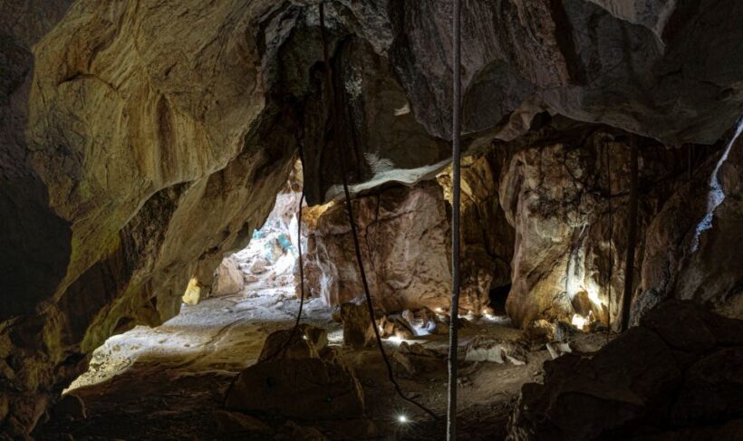 Capricorn Caves, Australia: 45-Minute Cathedral Cave Tour - Key Points